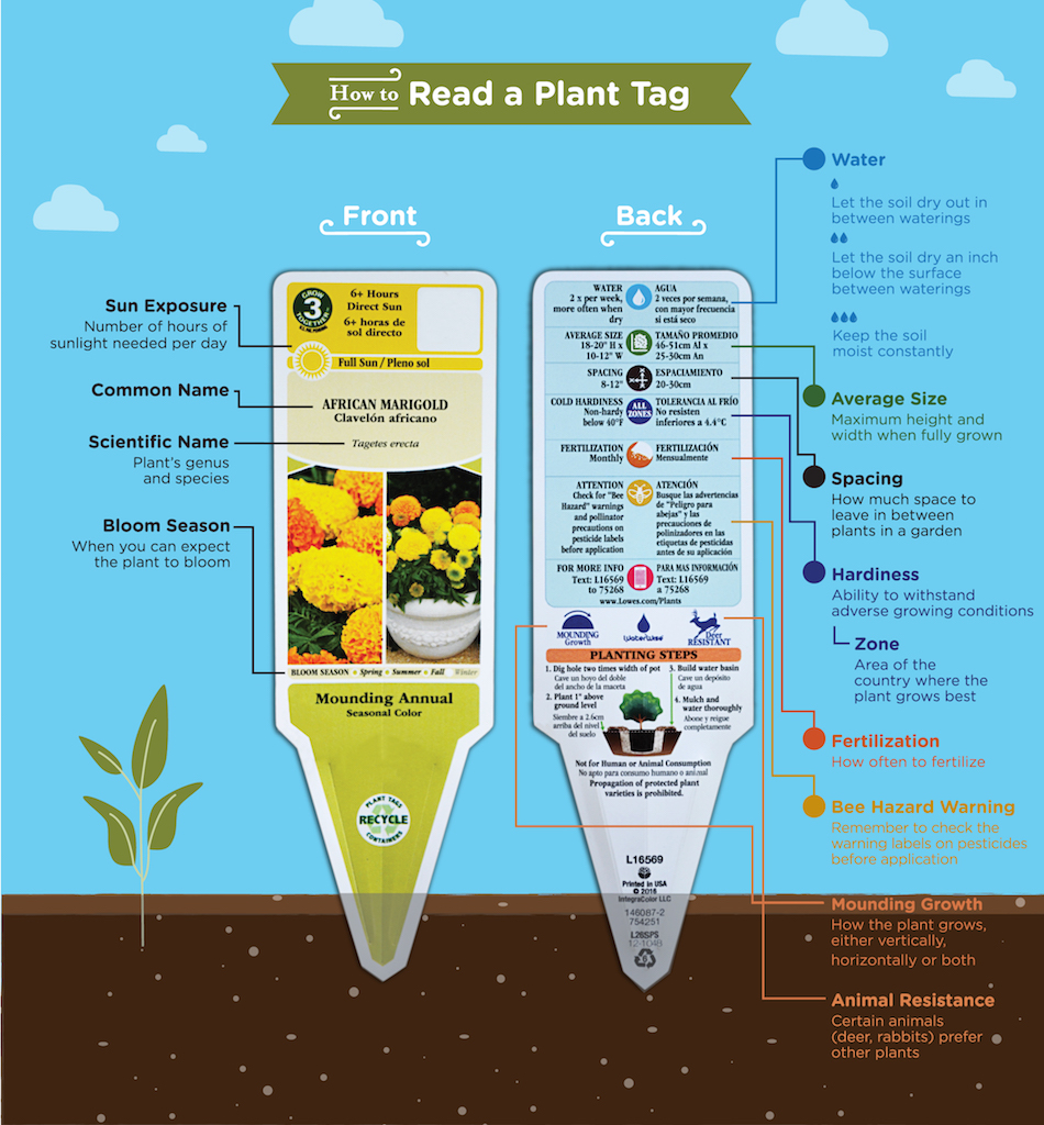 How To Read A Plant Tag Young s Plant Farm How To Read A Plant Tag Young s Plant Farm
