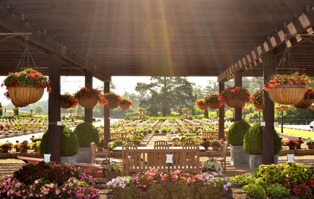Trial Garden – Young's Plant Farm
